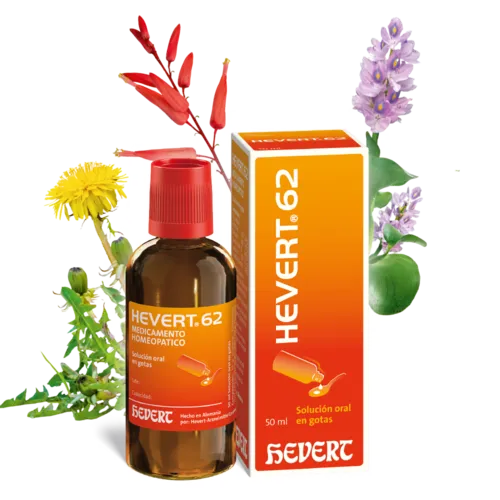 Hevert 62 - Digesto Hevert para insuficiencia digestiva